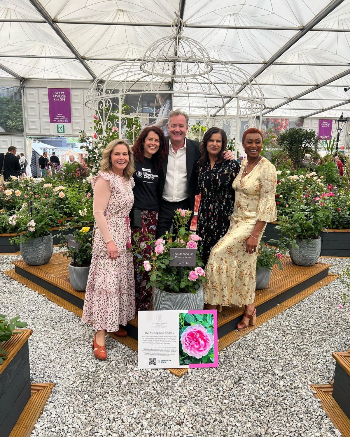 Harkness Roses | Bush, Shrub & Climbing Roses | British Roses